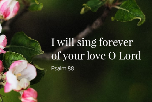 Groups | Castlebar Parish