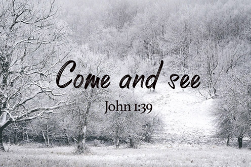 Groups | Castlebar Parish