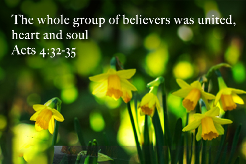 Groups | Castlebar Parish