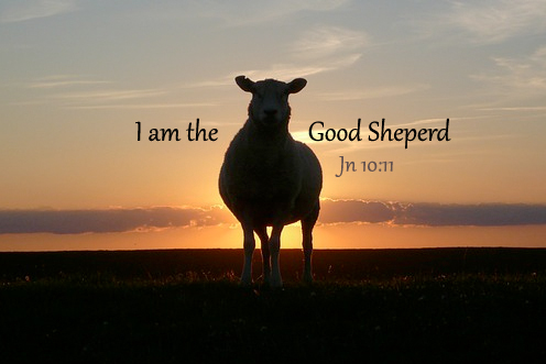 Groups | Castlebar Parish