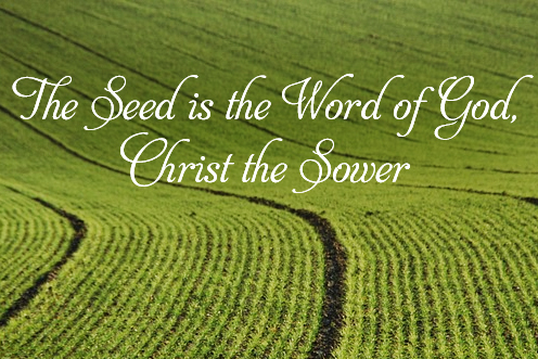 Groups | Castlebar Parish